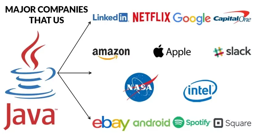Comparison Between Top 5 Programming Languages | SynergisticIT