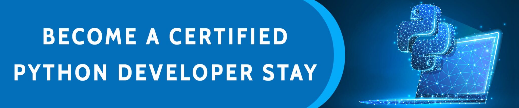 Best Python Certification Training in Atlanta, GA | SynergisticIT