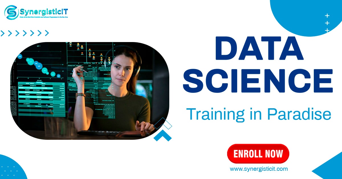 Best Data Science Training in Paradise | SynergisticIT